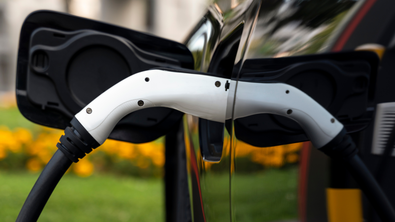 Check-in to your EV charging opportunity - Energy Assets